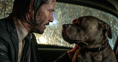 [Review] John Wick 3: Nếu Có, Hãy Trao “Oscar Thể Loại Hành Động” Cho ...